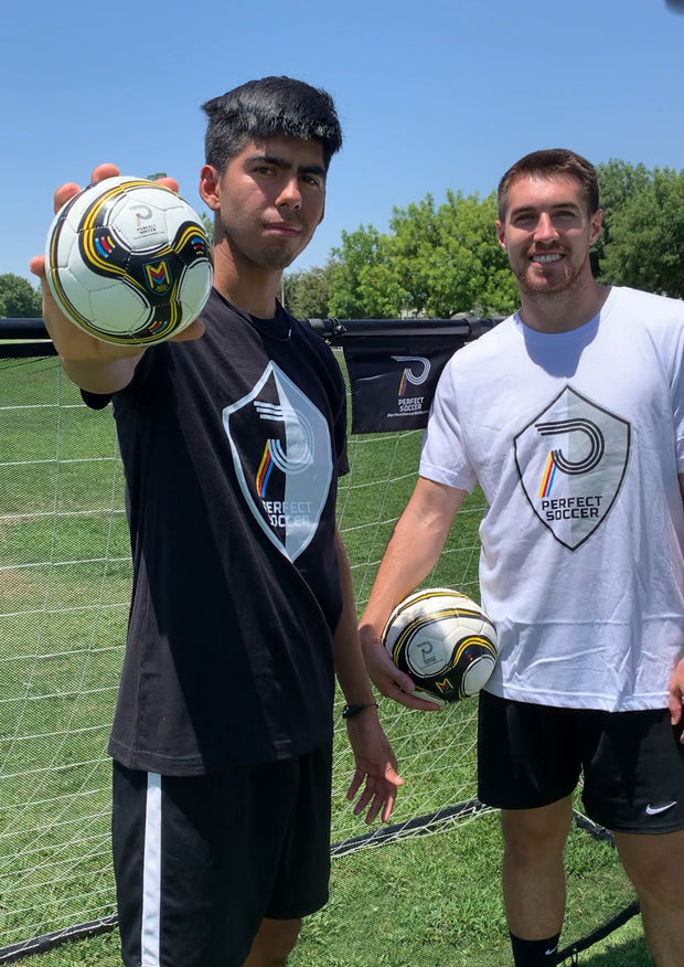 Perfect Soccer: Talk To, Learn From, Work With, Pro Soccer Players ...